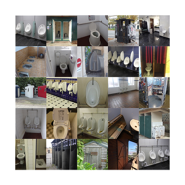 To all the Toilets I’ve Known Before – Mudskipper Press