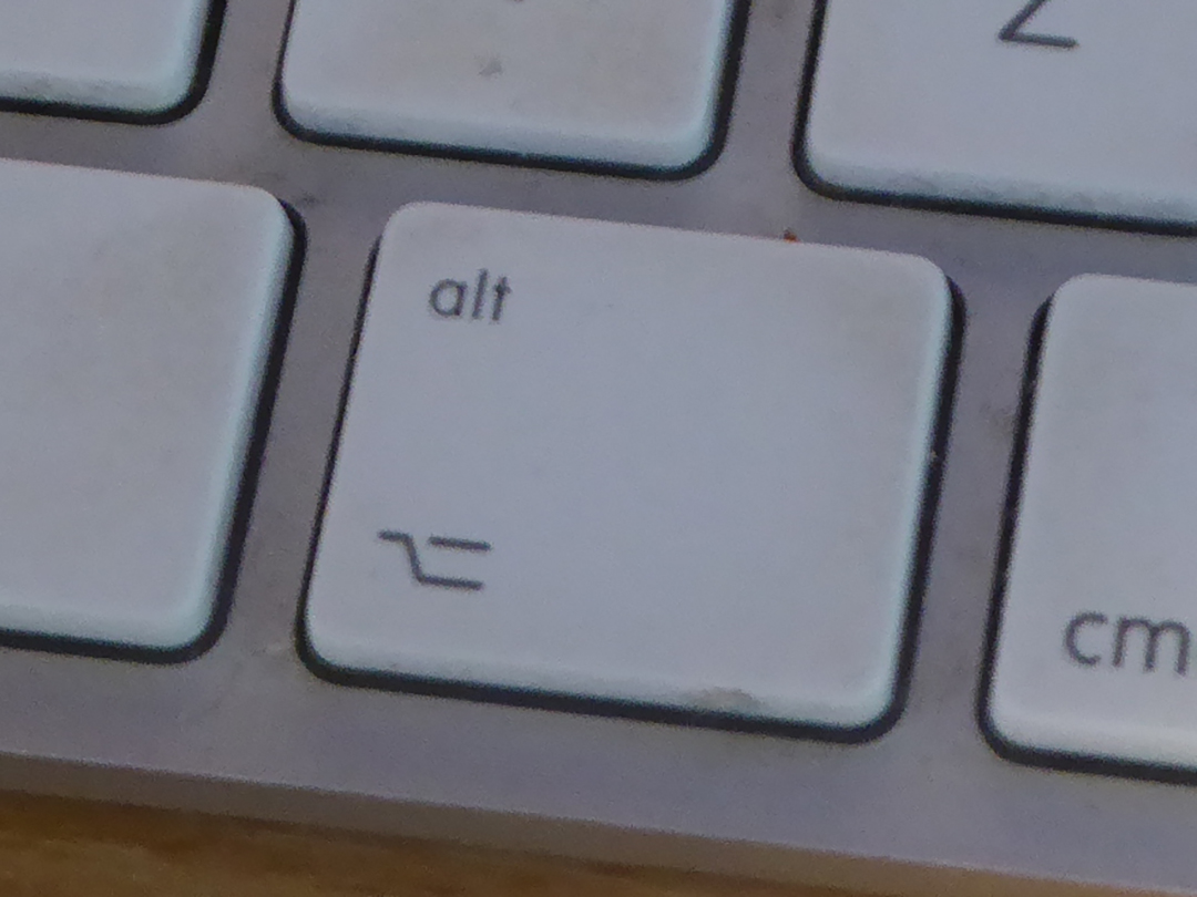 Alt-Everything – Mudskipper Press