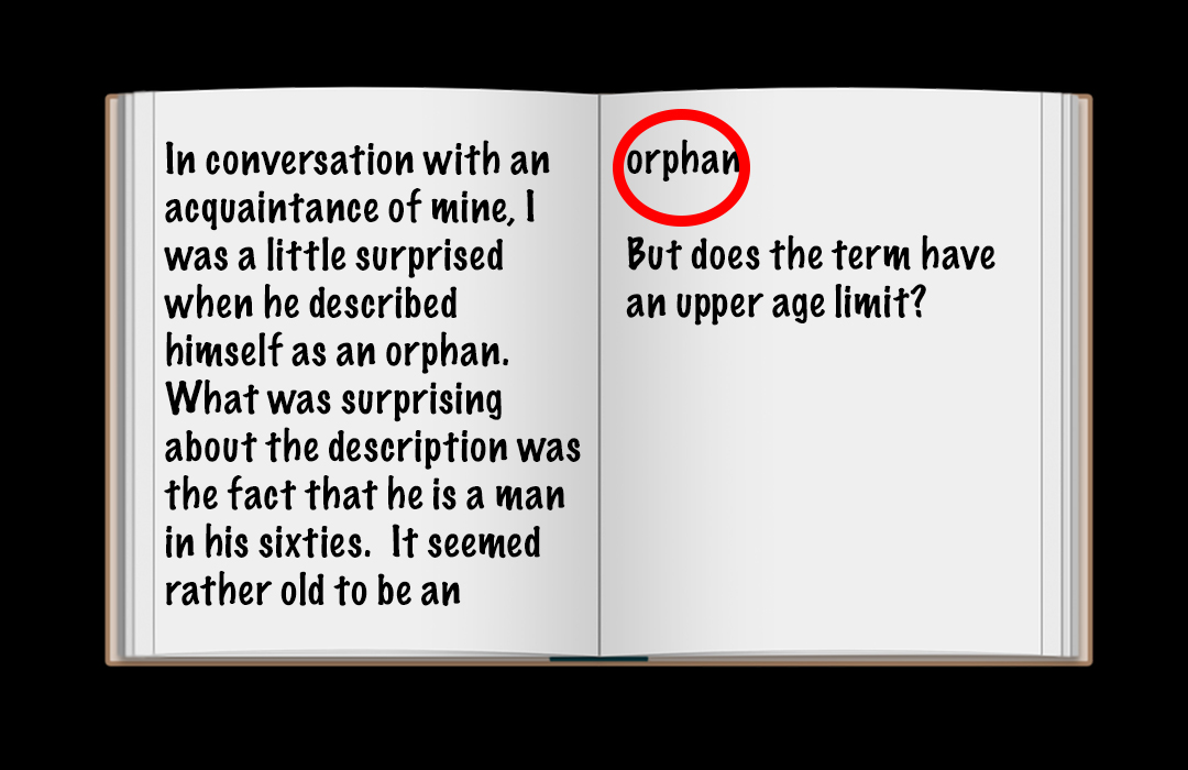 Top Fives #3: Fictional Orphans – Mudskipper Press