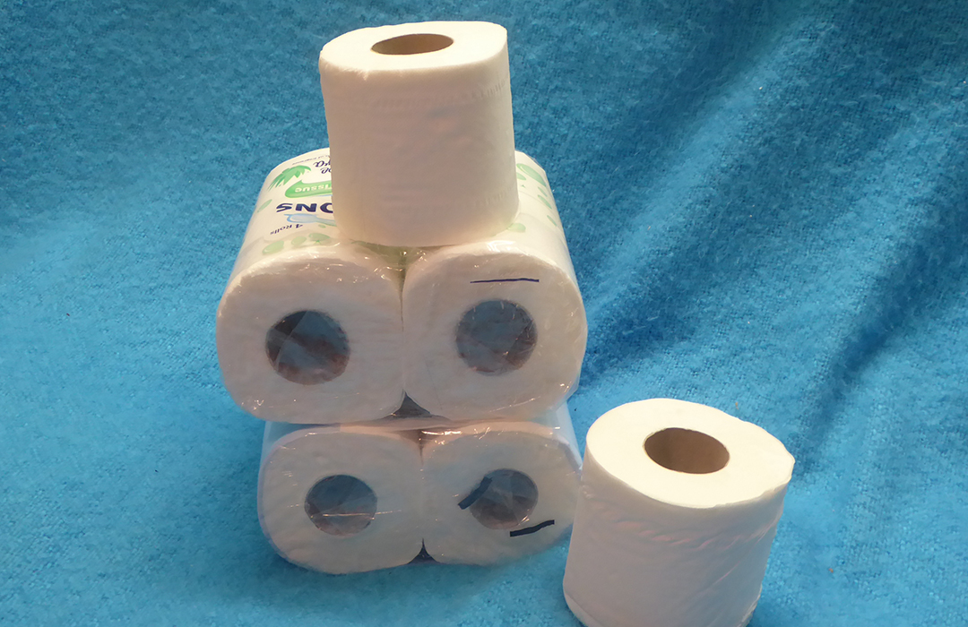 What, No Loo Roll? Is There an Alternative? – Mudskipper Press