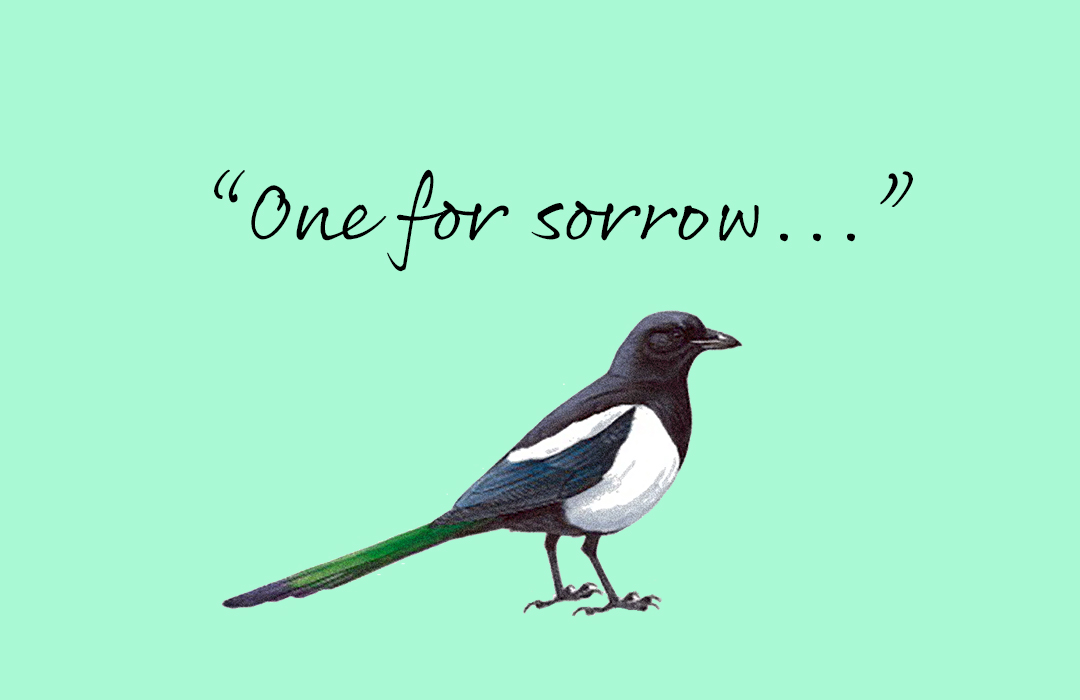 “One for Sorrow” – the Ubiquitous Magpie Remix – Mudskipper Press