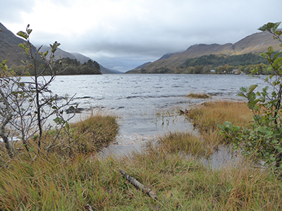 Steam Trains and Harry Potter on the Glenfinnan Trail – Mudskipper Press