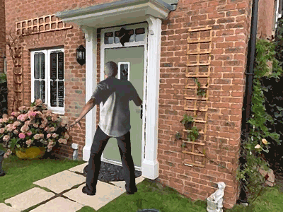 Knock Down Ginger with the Amazon Delivery Man – Mudskipper Press