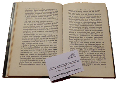 Lost in a Good Book – Mudskipper Press