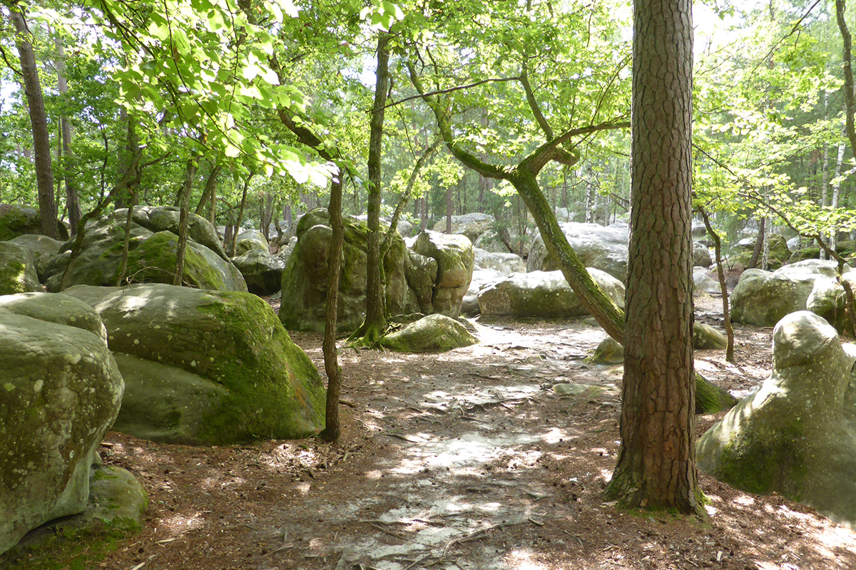 Barbizon: In the Footsteps of Painters and Prostitutes – Mudskipper Press