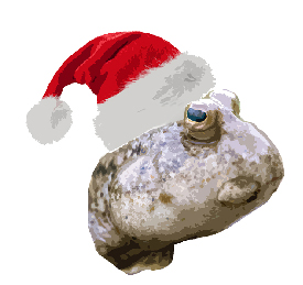 Merry Christmas from Mudskipper Press – Mudskipper Press