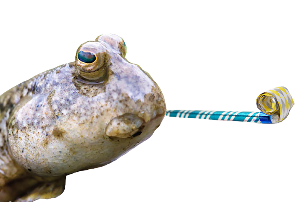 Happy Birthday, Methuselah – Mudskipper Press