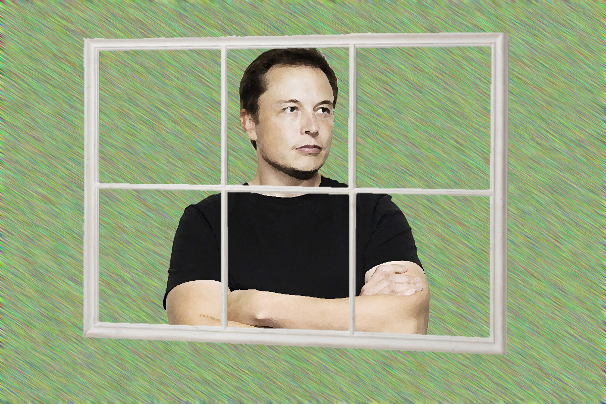 Can Elon Musk Fix My Double Glazing? – Mudskipper Press