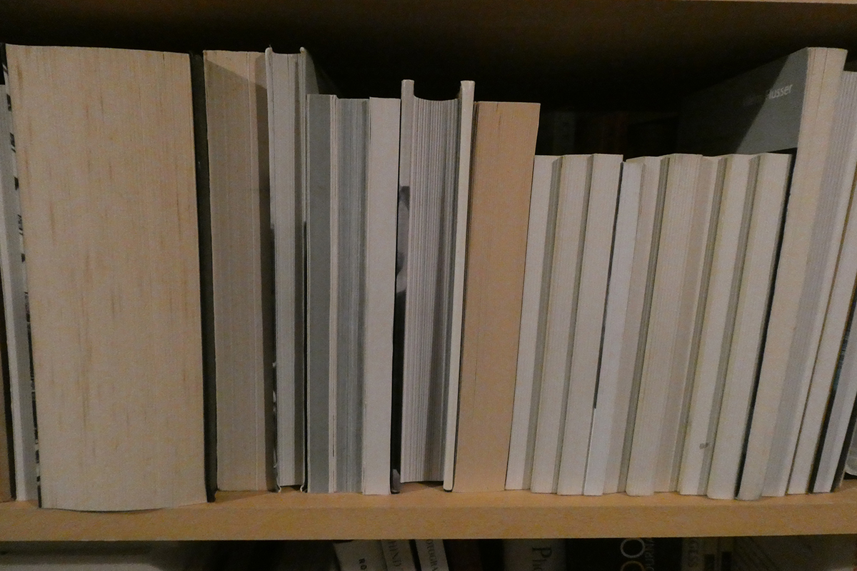 My Anti Antilibrary – Mudskipper Press