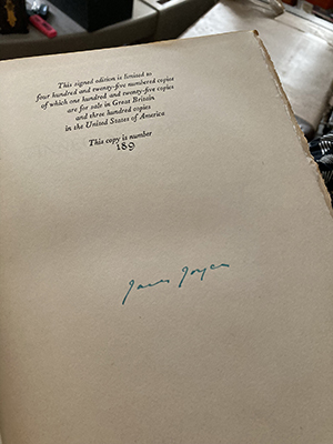 Following in James Joyce’s Wake in Zurich and Sandycove – Mudskipper Press